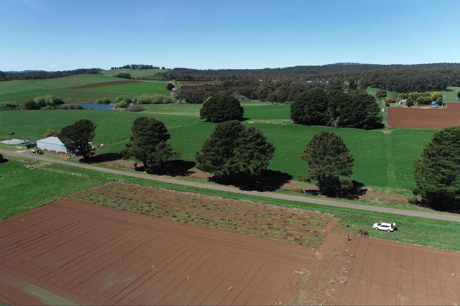 Solvi Blog | How Rijk Zwaan Uses Drone Plant Counts to Accelerate ...