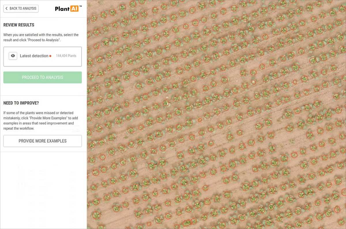 Solvi Blog | Drone-Based Plant Counts with AI: How It Works