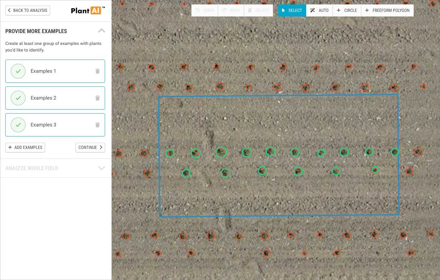 Solvi Blog | Mapping Tomato Field For Plant Counts with DJI Mavic 3 ...