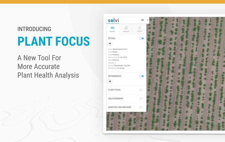 Solvi Blog | Actionable insights from agricultural drone imagery