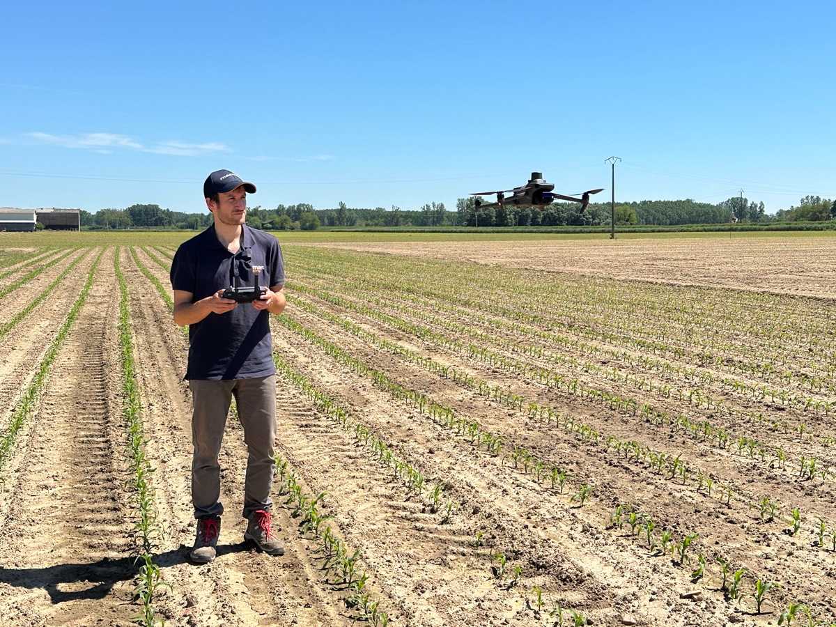 Solvi Blog | How MAS Seeds Uses Drone Imagery for More Efficient ...