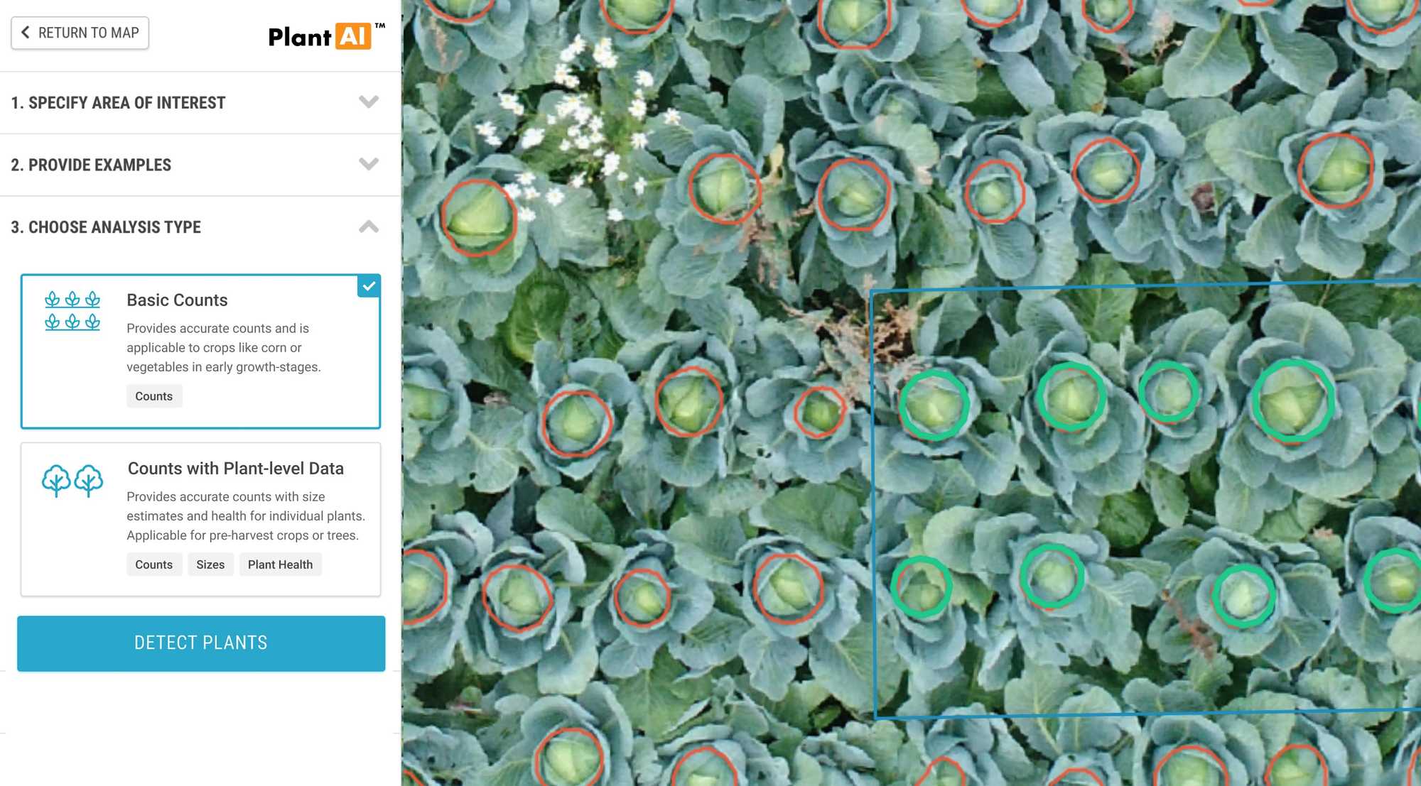 Solvi Blog | Plant-Level Crop Monitoring with New Plant AI™