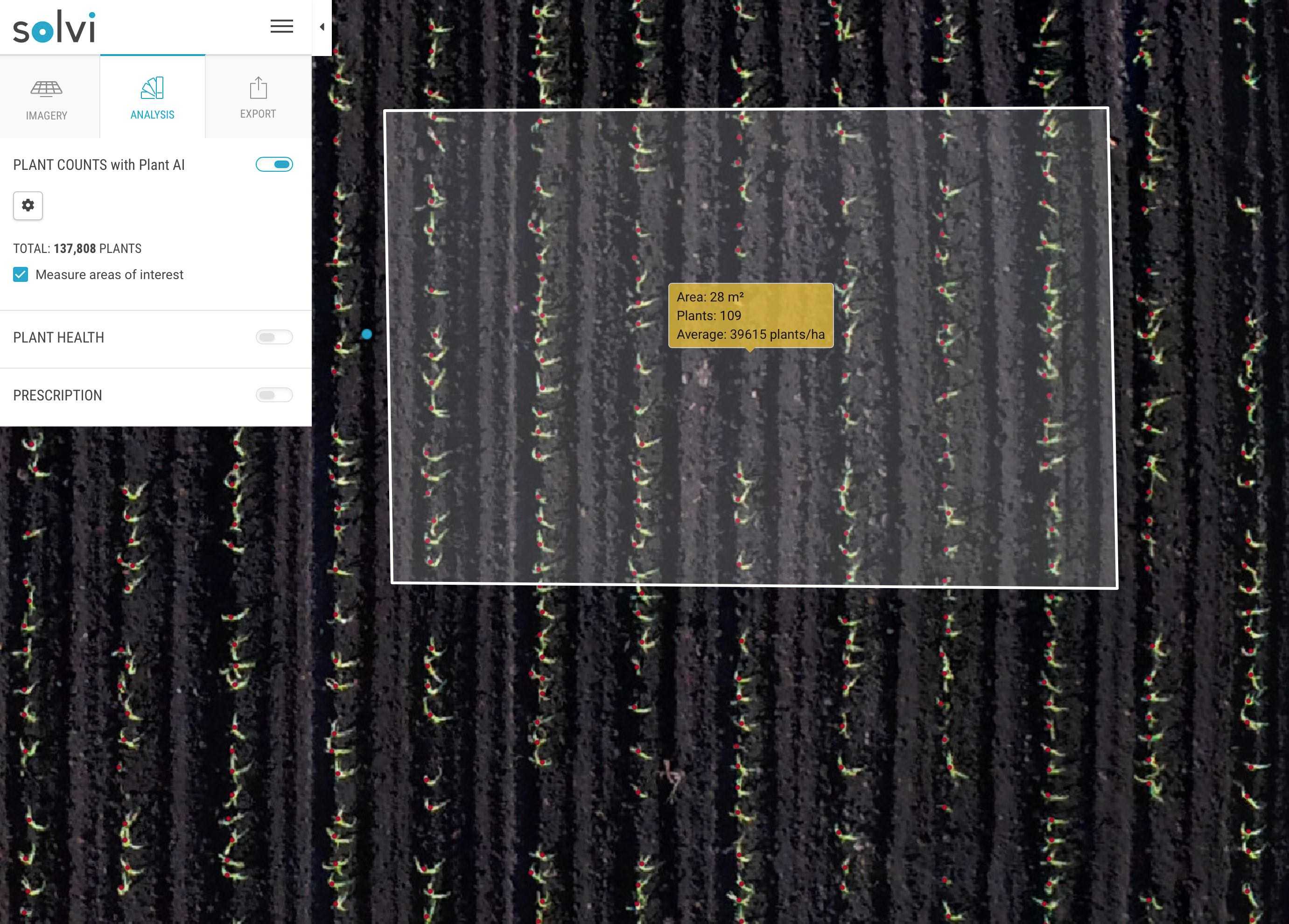 Solvi Blog | Maximize Your Corn Harvest With Drone Plant Counts