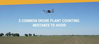Solvi Blog | 5 Common Drone Plant Counting Mistakes to Avoid