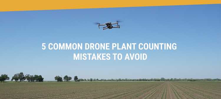 Solvi Blog | Actionable insights from agricultural drone imagery